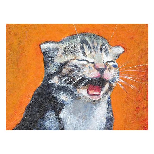 Laughing Kitten Meow | Buy Wall Art Today | Art by Tina Lewis