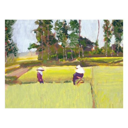 Rice Paddies | Vietnamese Paddy Fields Gallery - Tina Lewis Art